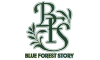 Blue Forest Story: Kaze no Fuuin Import Review - RPGamer