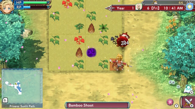 Rune Factory 3 Special Review - RPGamer